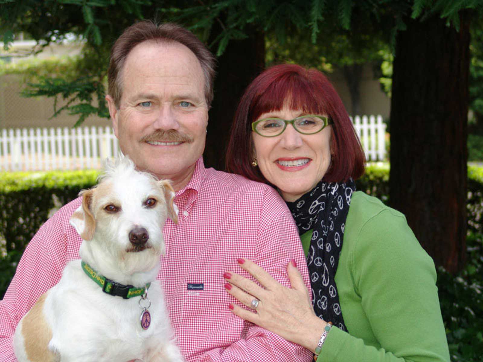 Where Are They Now Jon Provost Timmy From Lassie Boomer Magazine