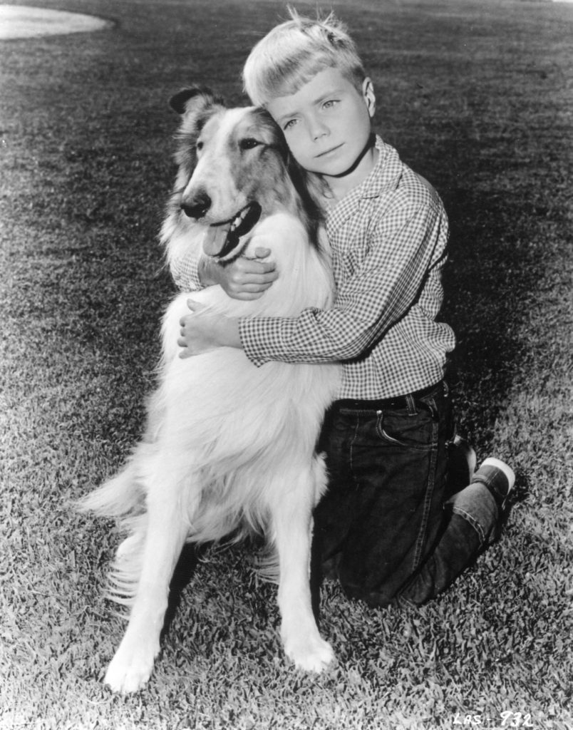 Where Are They Now? Jon Provost, "Timmy" from Lassie | BOOMER Magazine