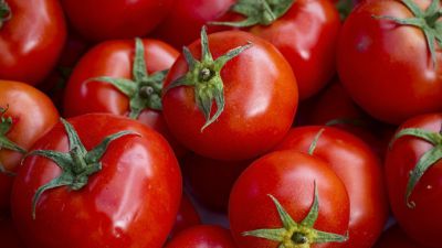 What’s Booming RVA: Hanover Tomatoes | BOOMER Magazine