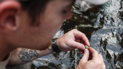 An Encouraging Tale of Southwest Virginia’s Golden Riffleshell Mussel ...