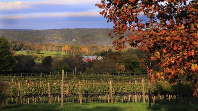 Virginia's Hunt & Wine Country | BoomerMagazine.com