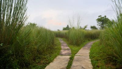 Making Peace with Paths Not Taken | BoomerMagazine.com
