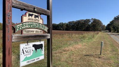 The Edna Lewis Menu Trail | BOOMER Magazine