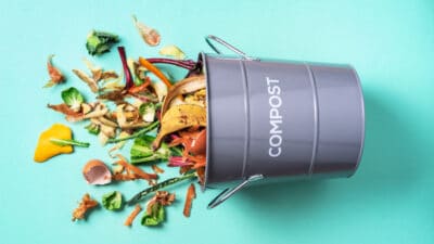 Indoor Composting 101 | BOOMER Magazine